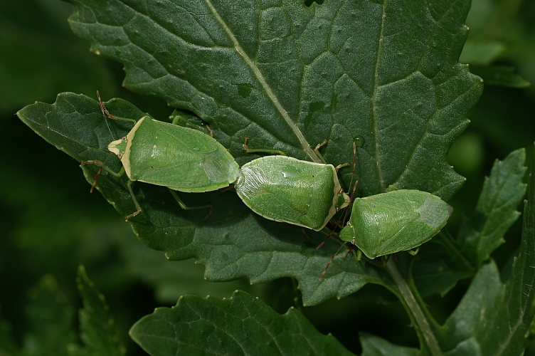 Crete Diary - Main Pictures